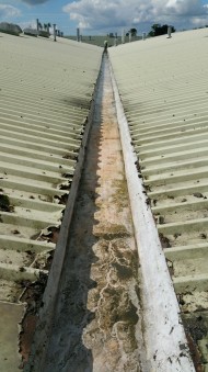 Working at Height - guttergremlin.co.uk