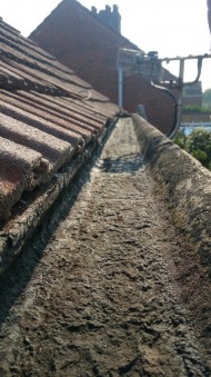 Gutter Gremlin Residential Services - guttergremlin.co.uk